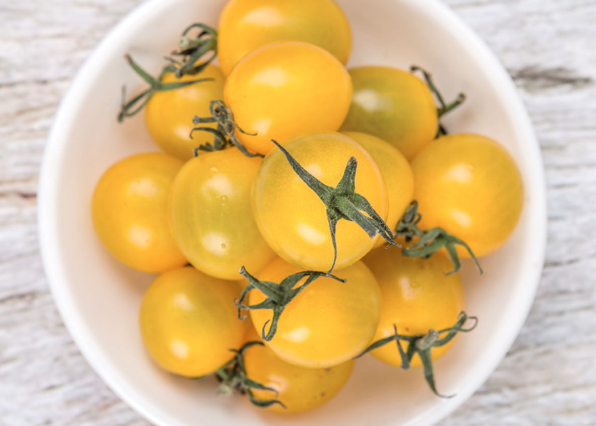 White Cherry - Tomato Seeds – Bucktown Seed Company
