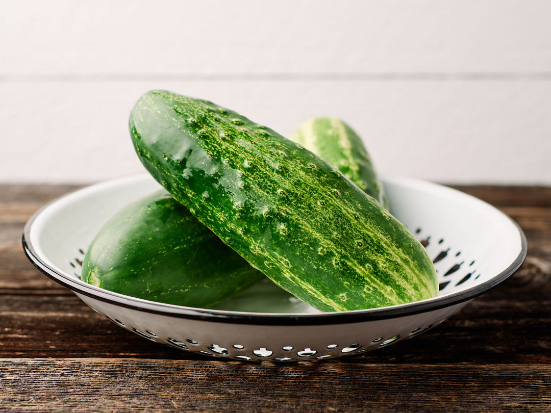 Spacemaster 80 - Cucumber Seeds – Bucktown Seed Company