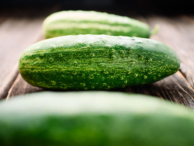 Spacemaster 80 - Cucumber Seeds – Bucktown Seed Company