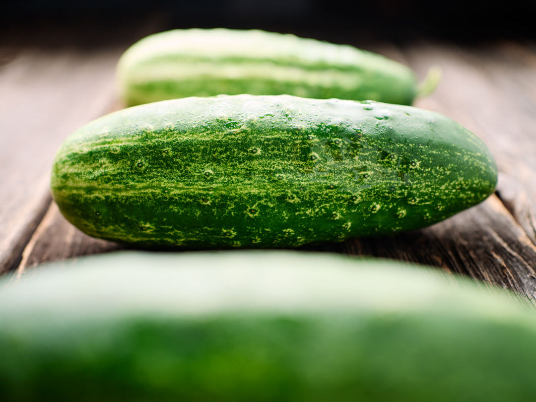 Spacemaster 80 - Cucumber Seeds – Bucktown Seed Company