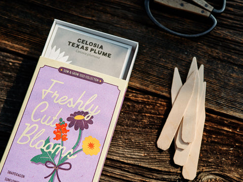 Freshly Cut Blooms Seed Kit | Zinnia, Cosmos & Sunflower – Bucktown ...