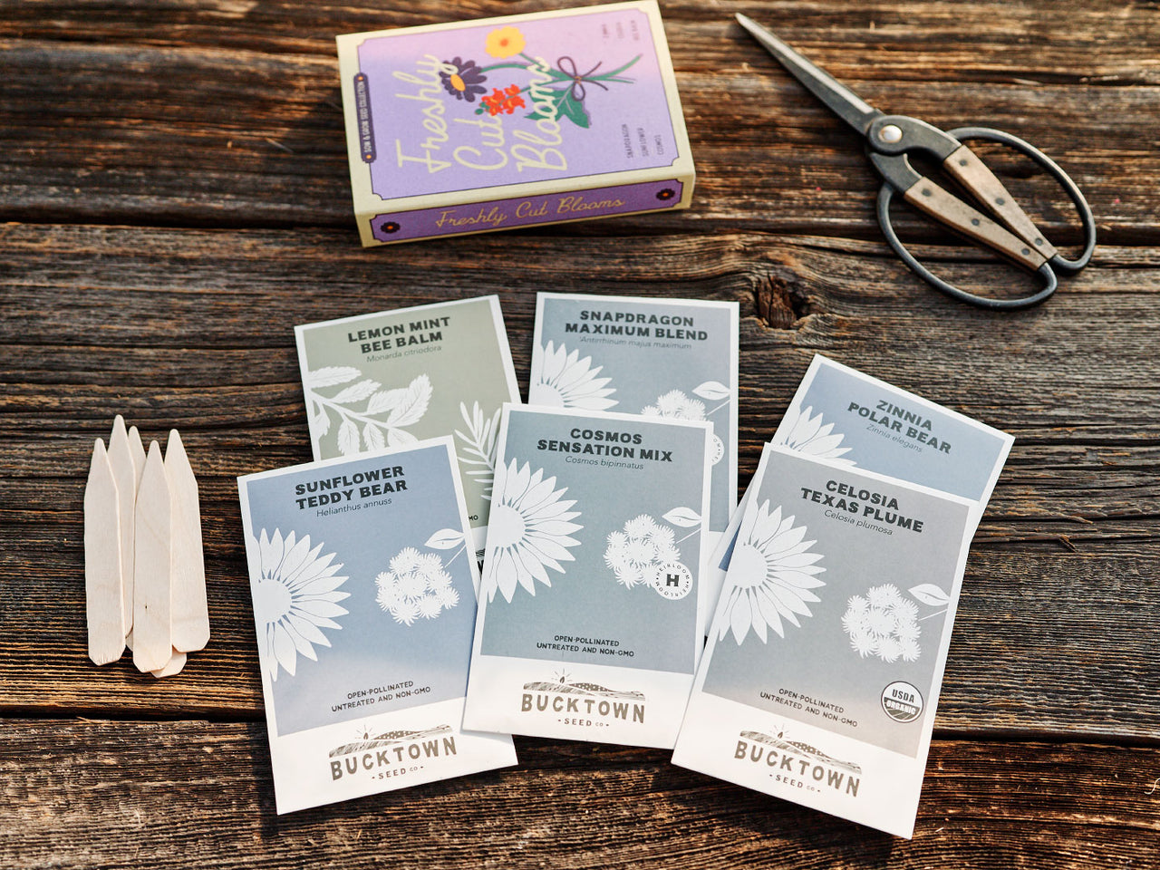 Freshly Cut Blooms Seed Kit | Zinnia, Cosmos & Sunflower – Bucktown ...