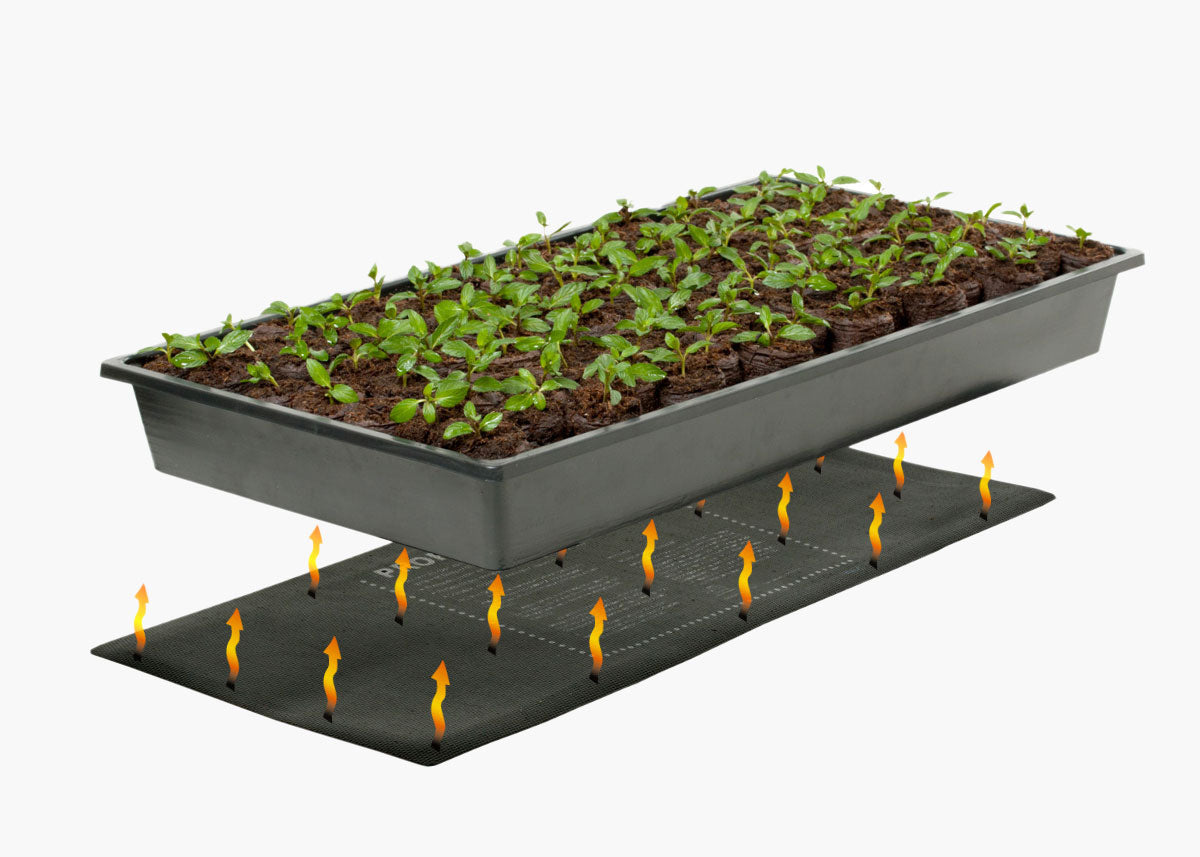 Germination Station w/Heat Mat, Tray, 72-Cell Pack, 2" Dome – Bucktown ...