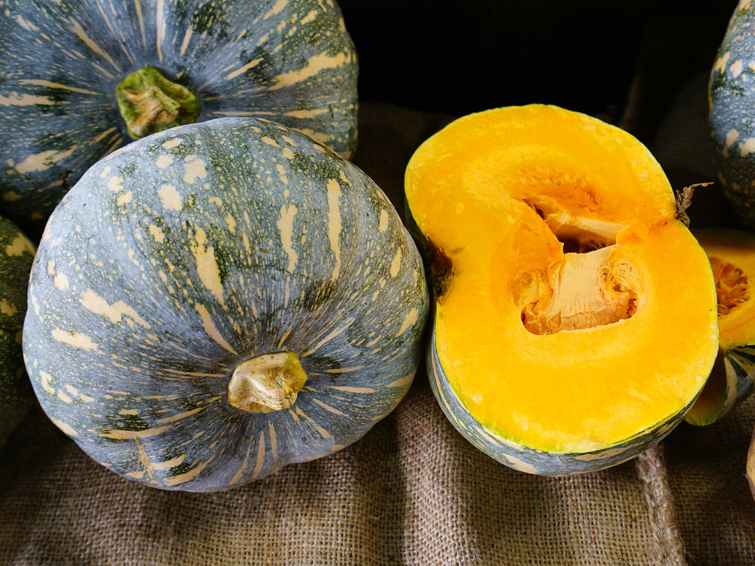 Kabocha - Winter Squash Seeds – Bucktown Seed Company