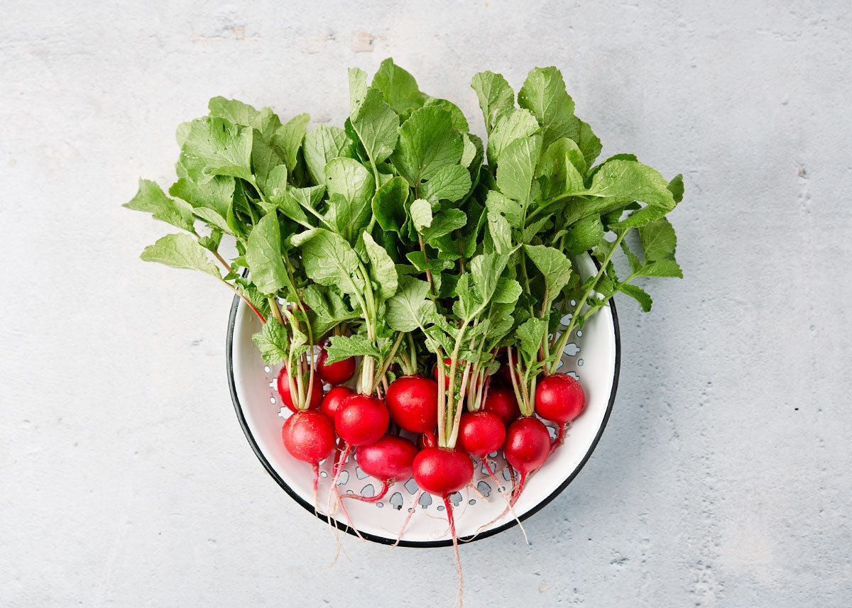 Cherry Belle - Organic Radish Seeds – Bucktown Seed Company