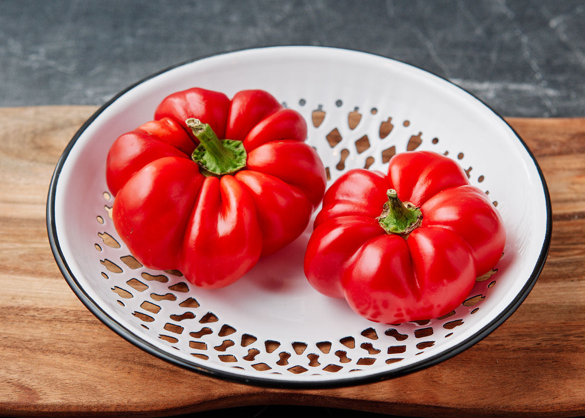 Sheepnose Pimento - Sweet Pepper Seeds – Bucktown Seed Company