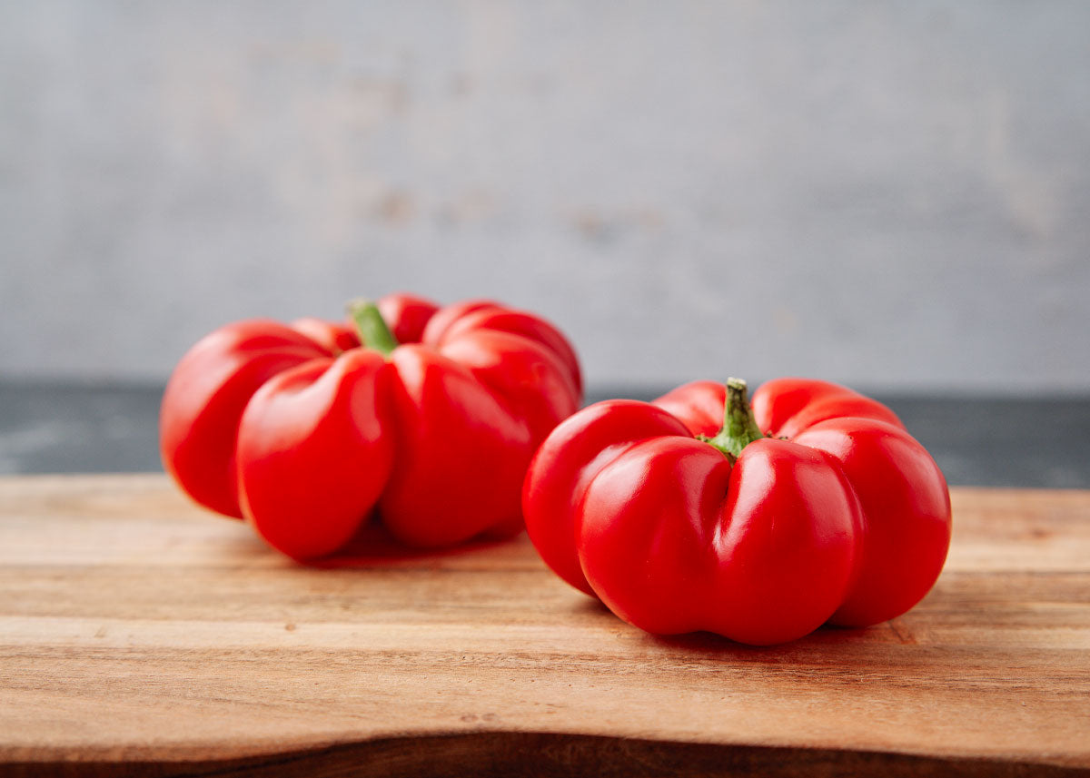 Sheepnose Pimento - Sweet Pepper Seeds – Bucktown Seed Company