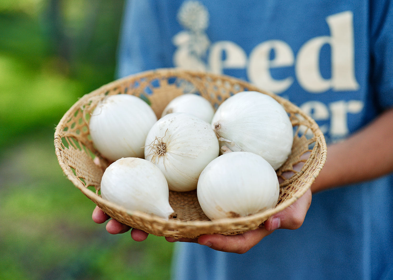 White Sweet Spanish - Onion Seeds – Bucktown Seed Company