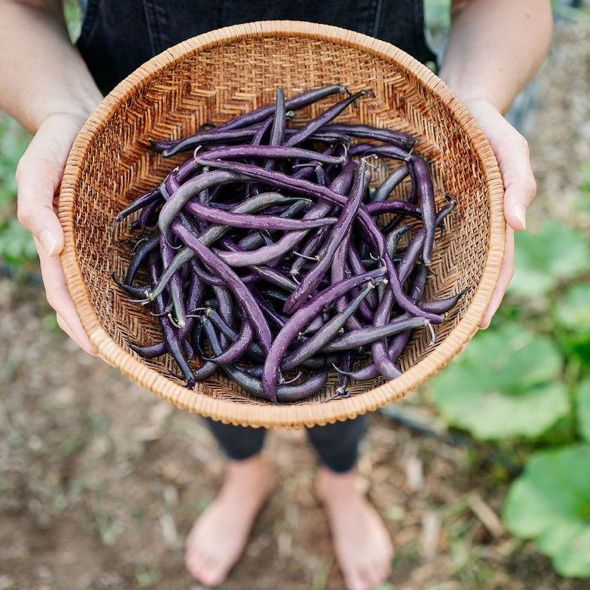 Bucktown Seed Company | Garden Seeds, Seed Starter Kits and More