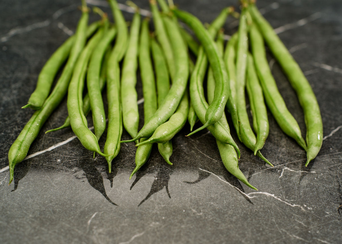 Jade - Bush Bean Seeds – Bucktown Seed Company