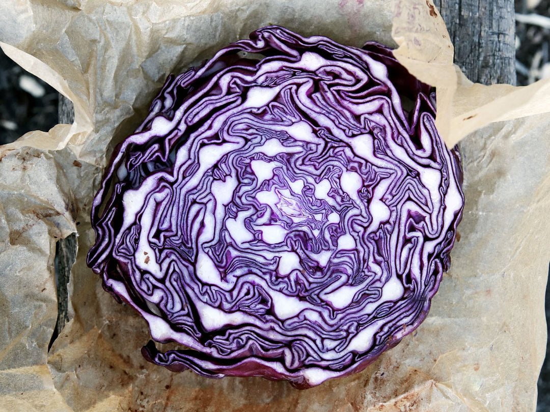 Red Express - Cabbage Seeds – Bucktown Seed Company