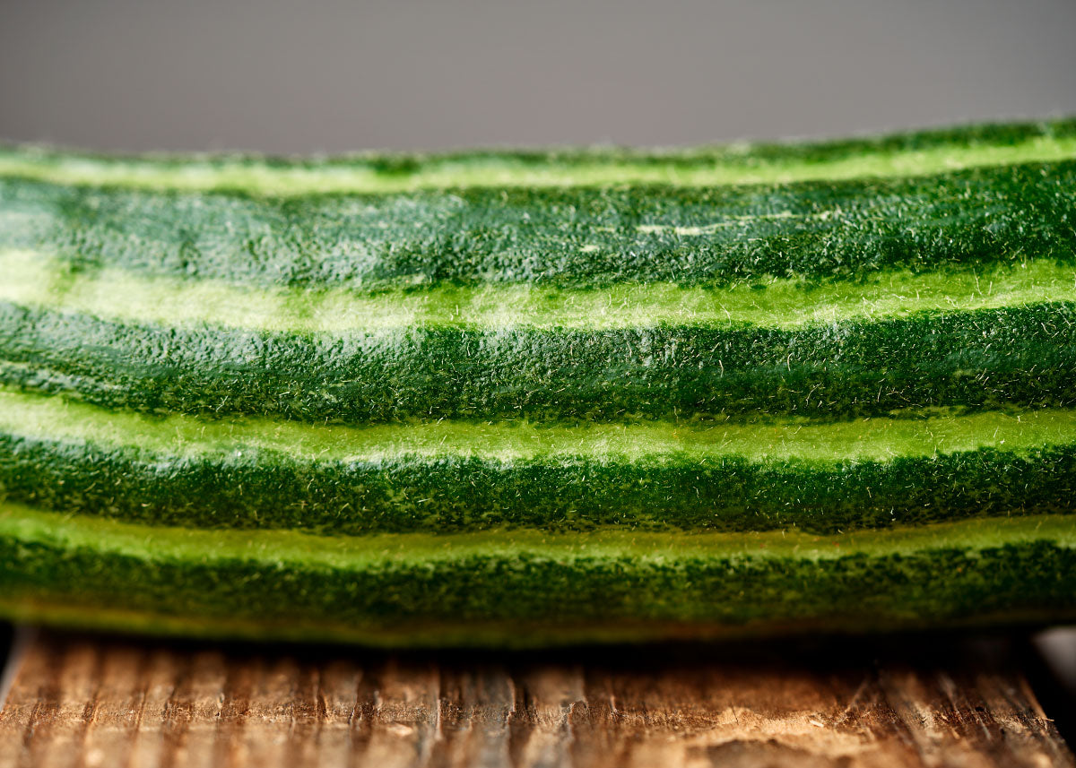 Striped Armenian (Painted Serpent) - Cucumber Seeds – Bucktown Seed Company