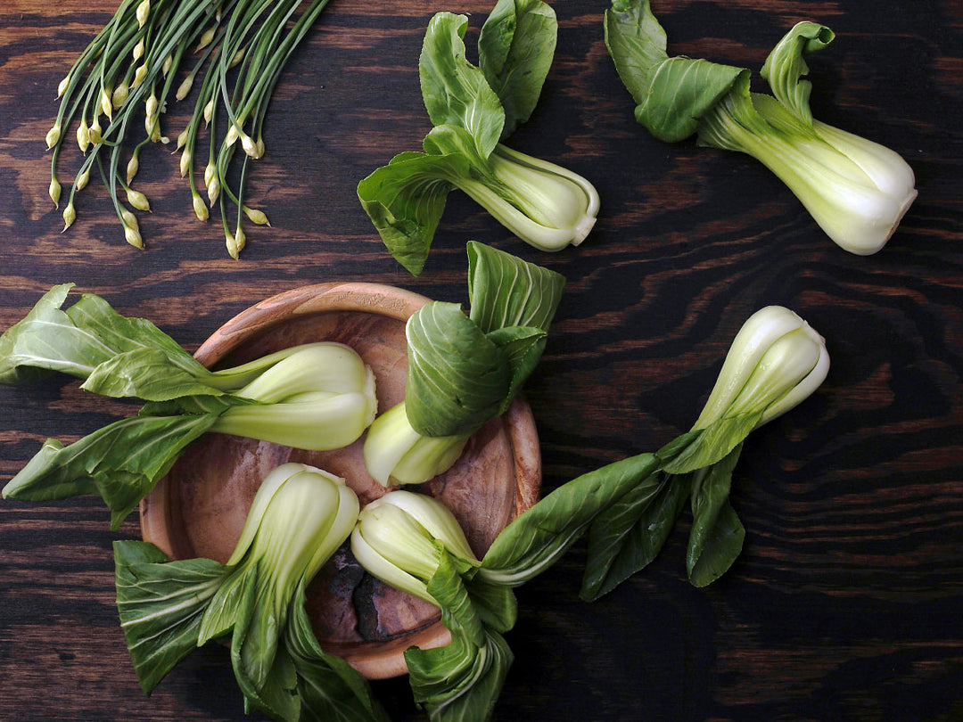 Pak Choi White Stem - Organic Cabbage Seeds – Bucktown Seed Company