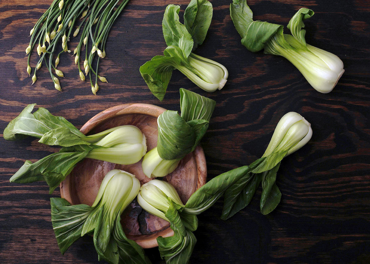 Pak Choi White Stem - Organic Cabbage Seeds – Bucktown Seed Company