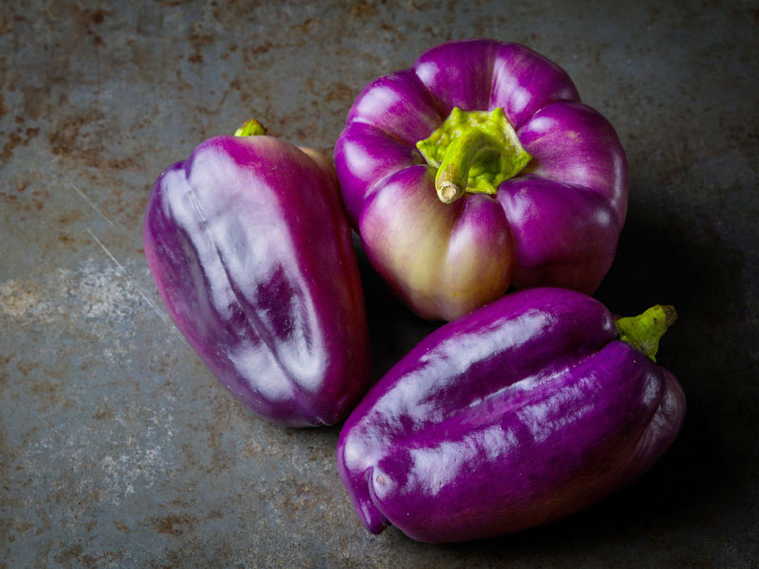 Purple Beauty - Organic Sweet Pepper Seeds – Bucktown Seed Company