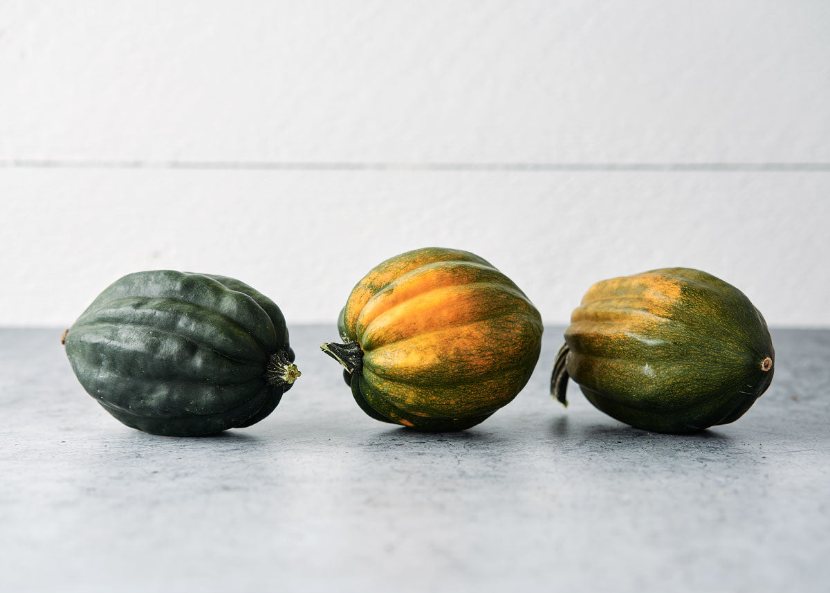Table Queen - Acorn Winter Squash Seed - Organic – Bucktown Seed Company