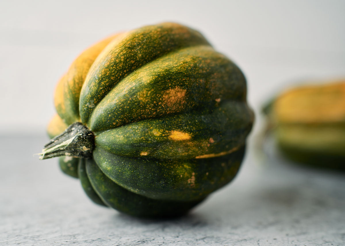 Table Queen - Acorn Winter Squash Seed - Organic – Bucktown Seed Company